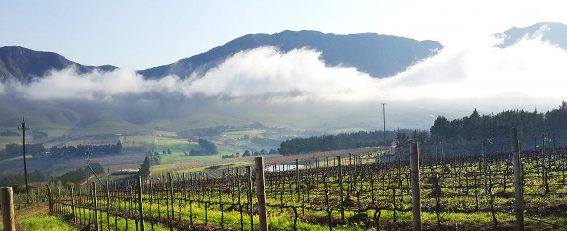 About us | Overberg District Municipality